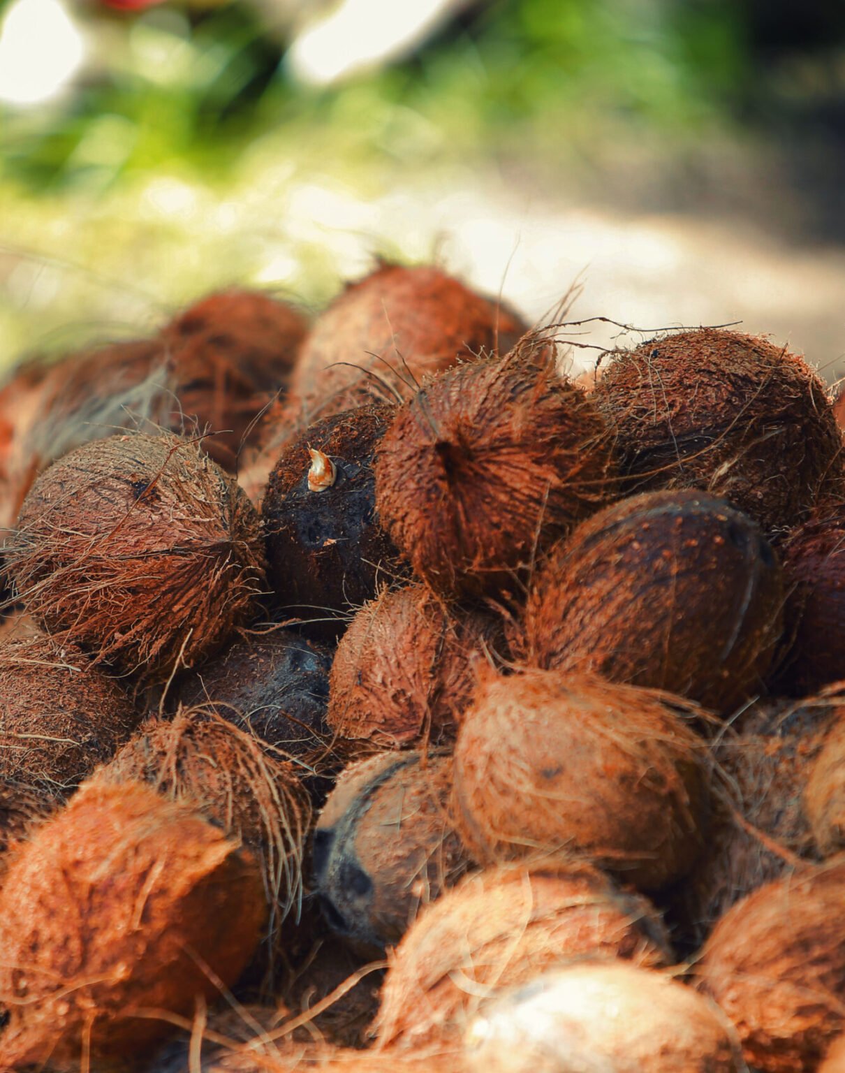 Contact – Coconut Taprobane(PVT)Ltd